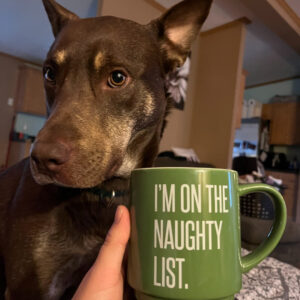 Animal Farm Foundation