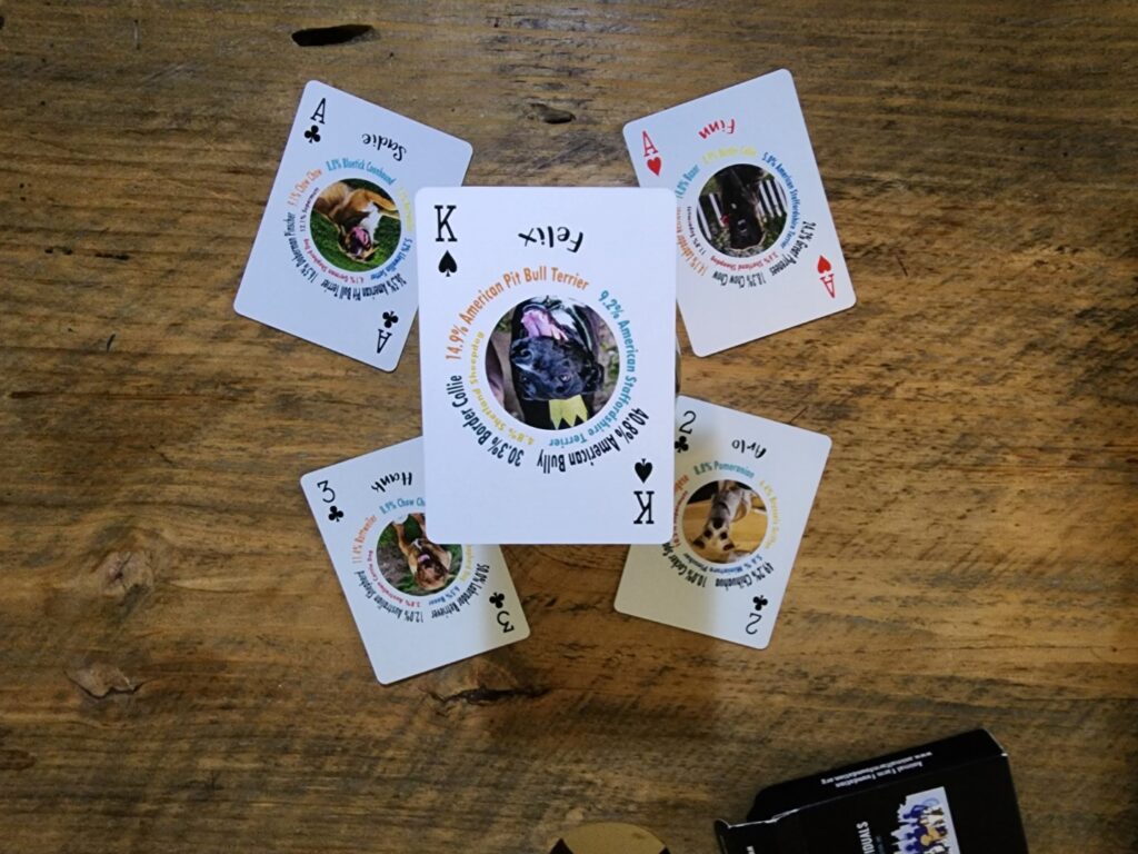 Breed ID Playing Cards | Animal Farm Foundation