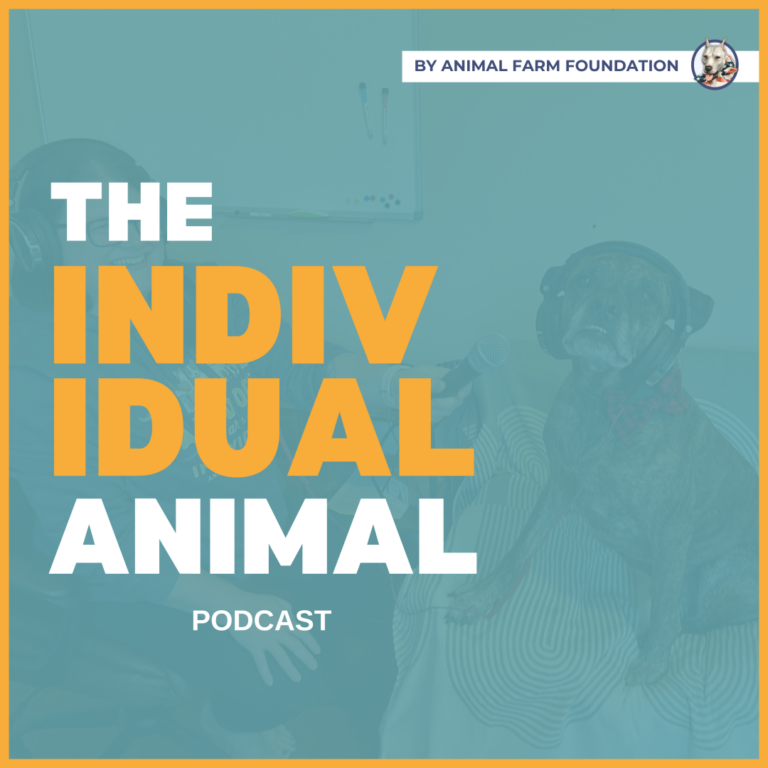 The Individual Animal